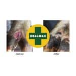 Healmax Paste For Hoof Trimmers | AgroChem USA