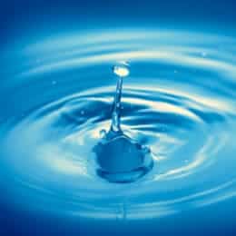 SurChlor | Liquid Sanitizer | AgroChem USA